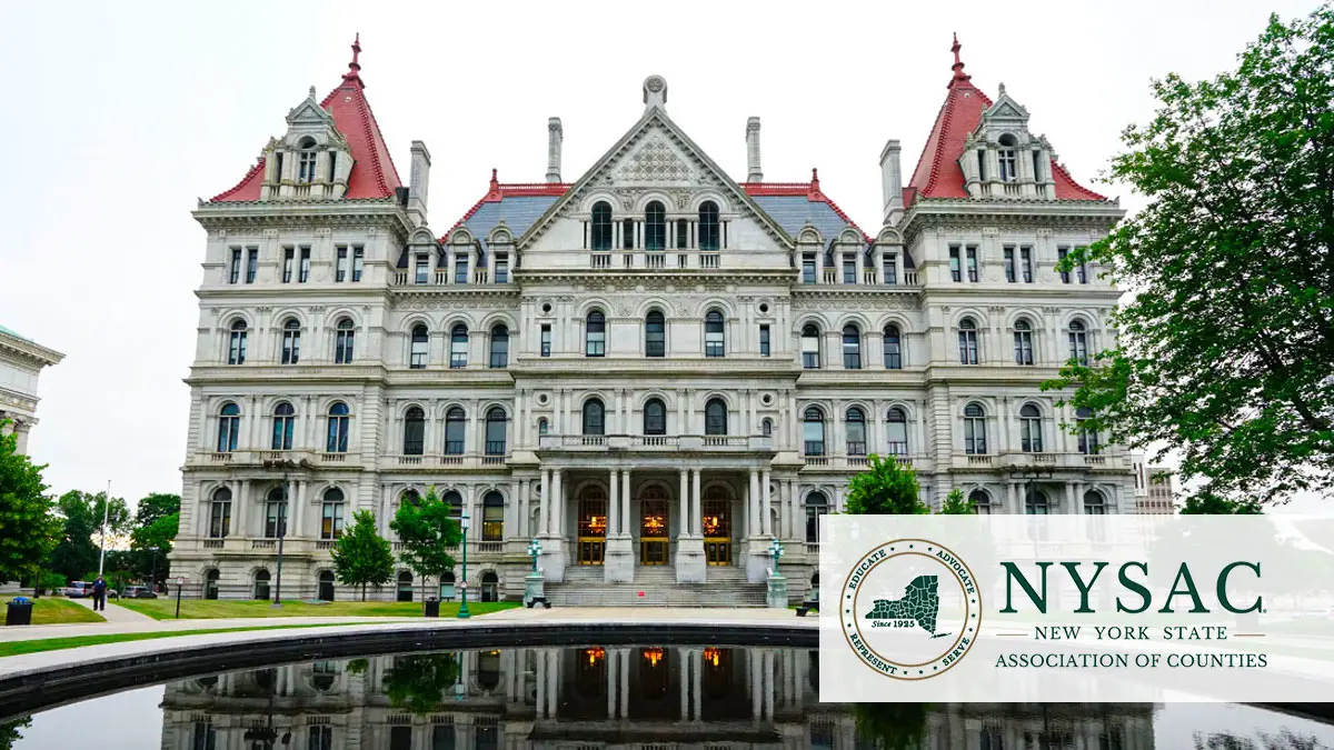 A Recap Of The 2020 Election Results