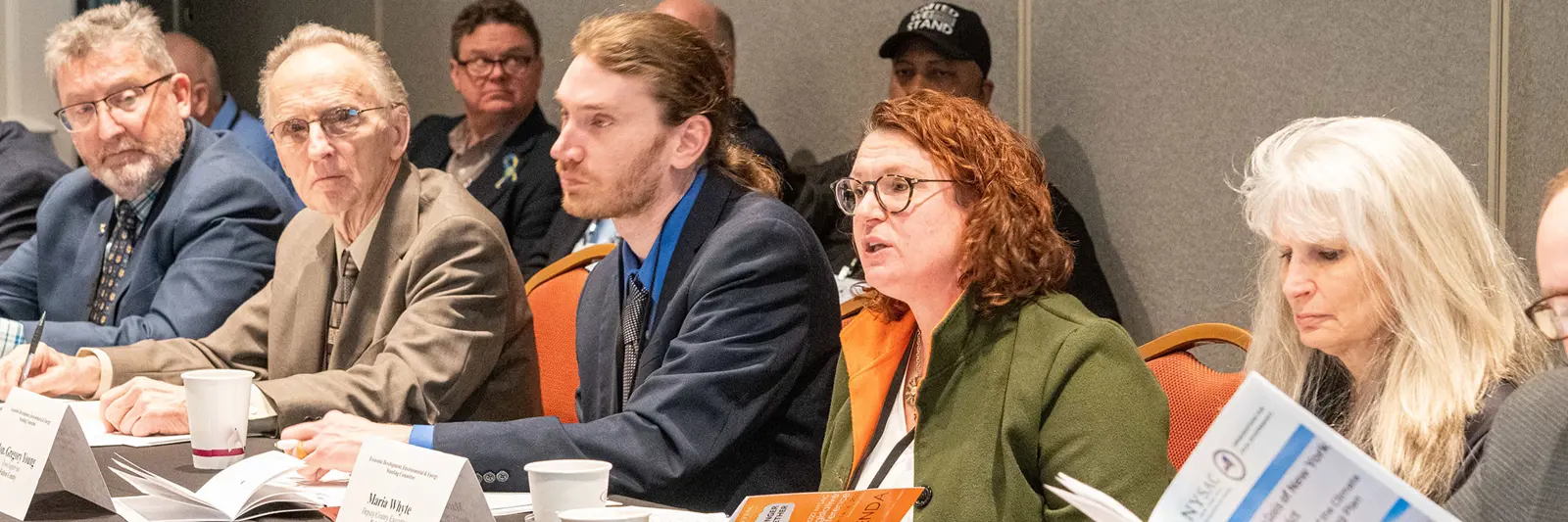 Taxation and Finance | New York State Association of Counties