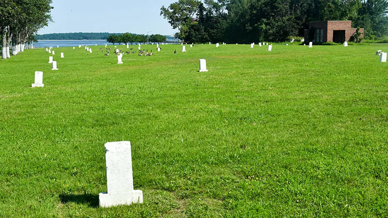 Counties Seek Protection as Indigent Cremations Grow