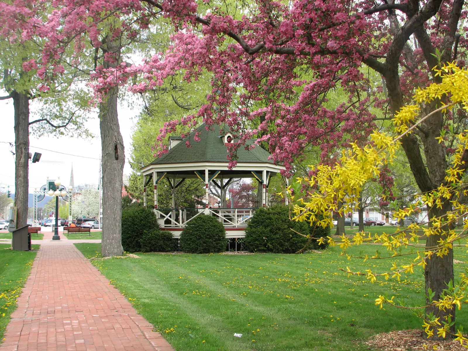 NYSAC Photo Contest: Beyond 100!