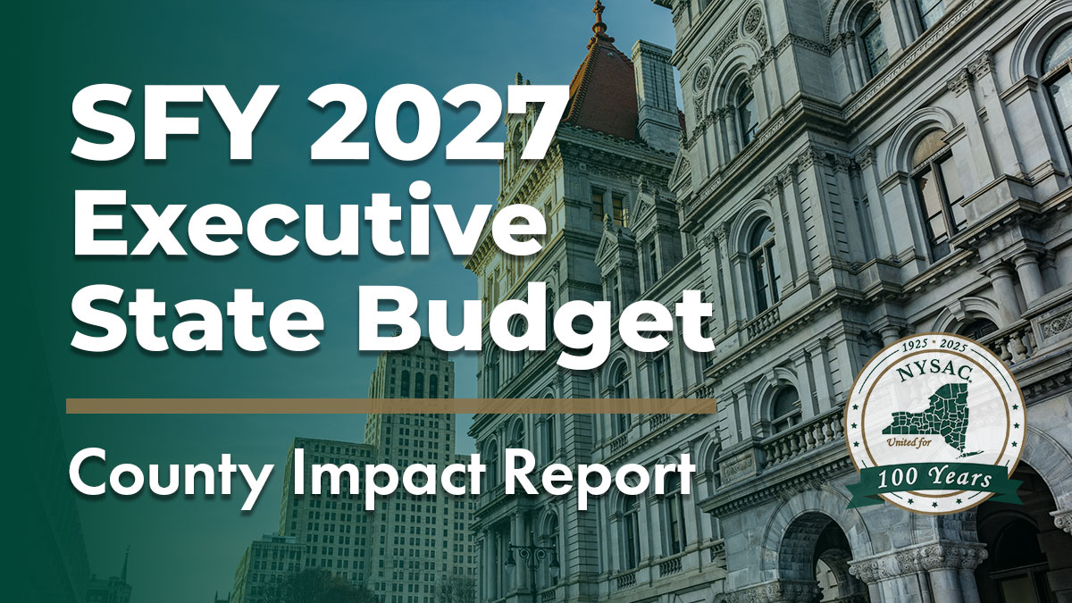 SFY 2027 Executive Budget County Impact Report